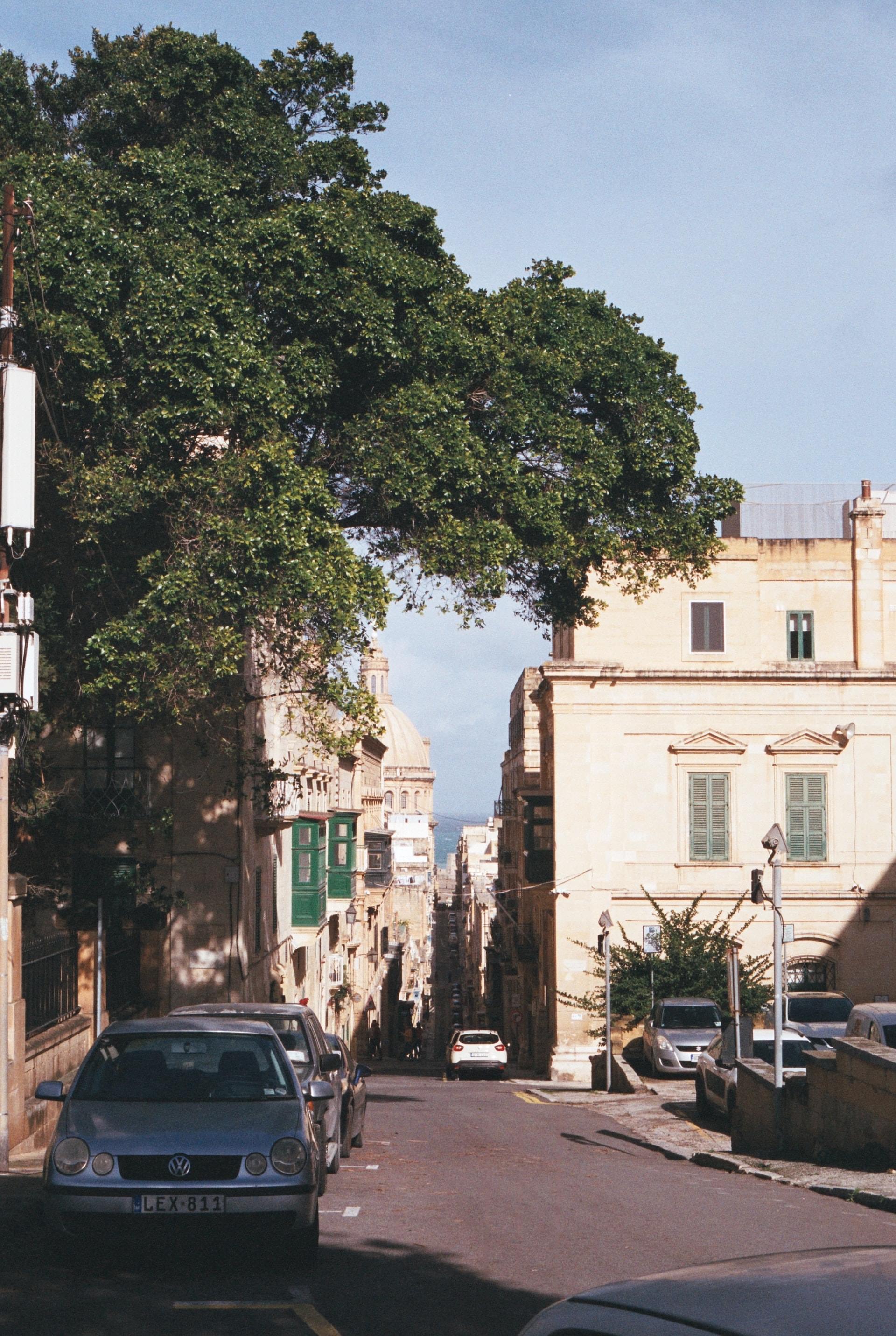 Image FlexBox Gallary